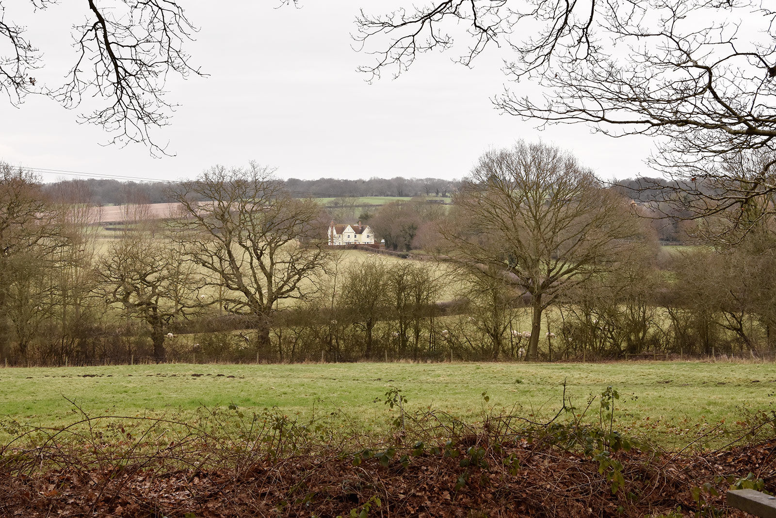 Eight Ash Green Village Website – Useful Information & News